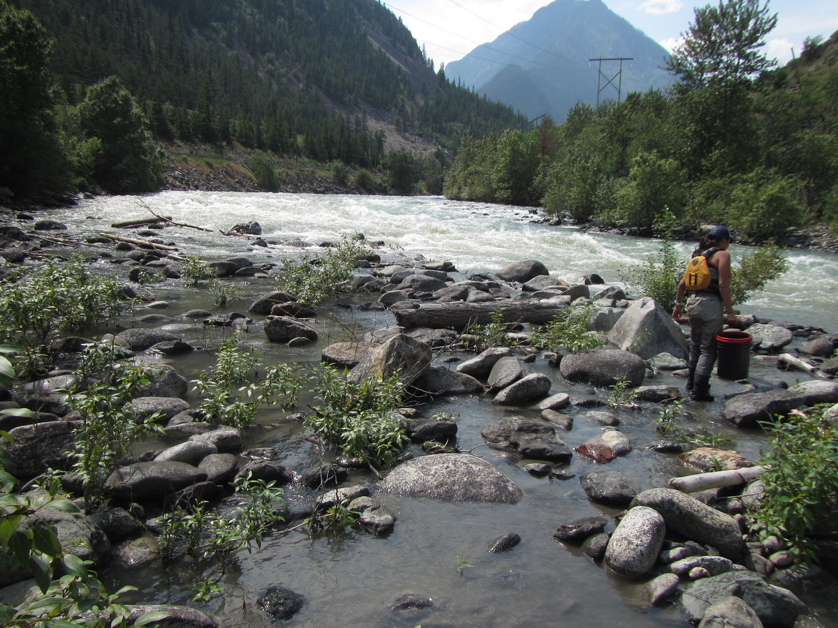 Fish Salvage — Splitrock Environmental