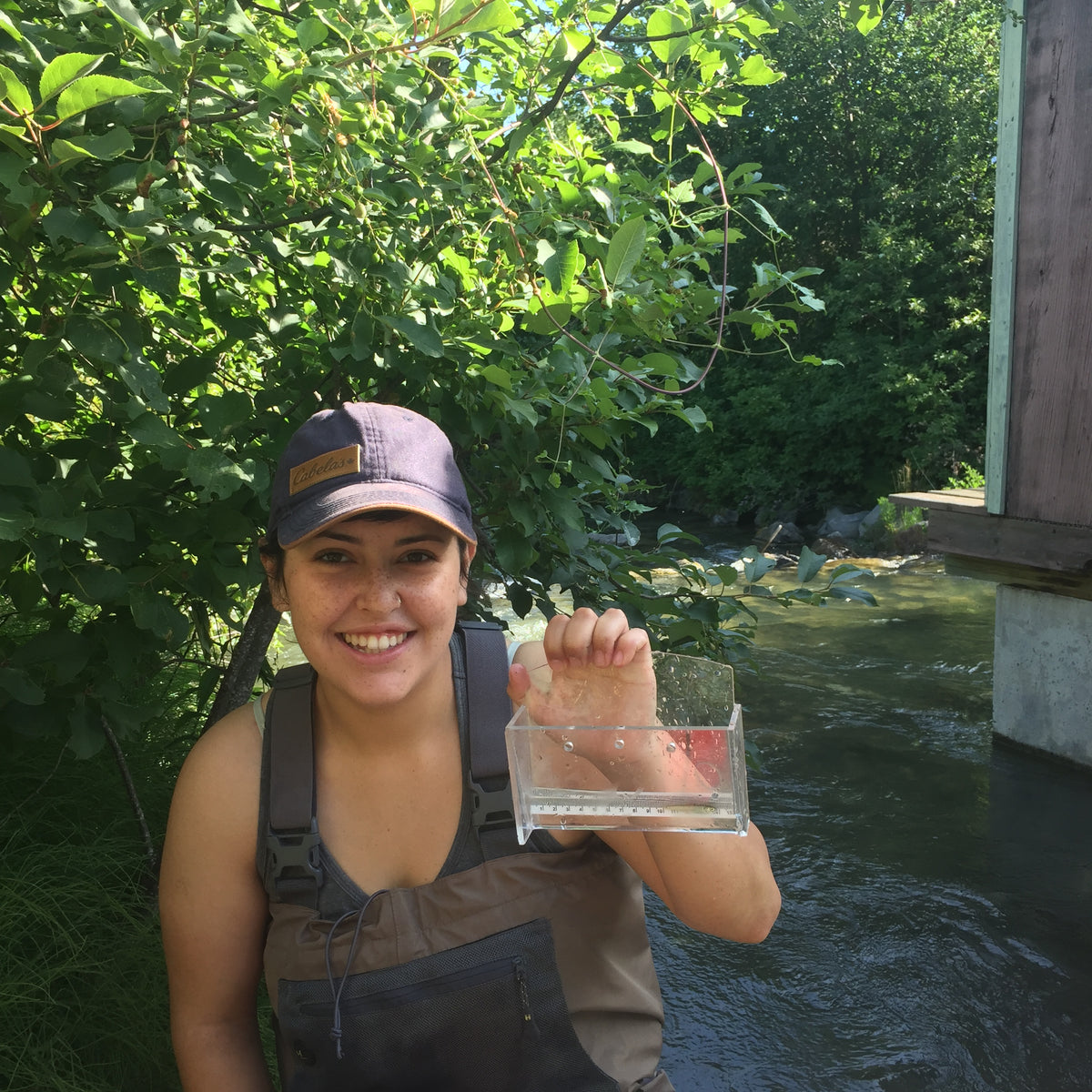 Smolt Outmigration — Splitrock Environmental