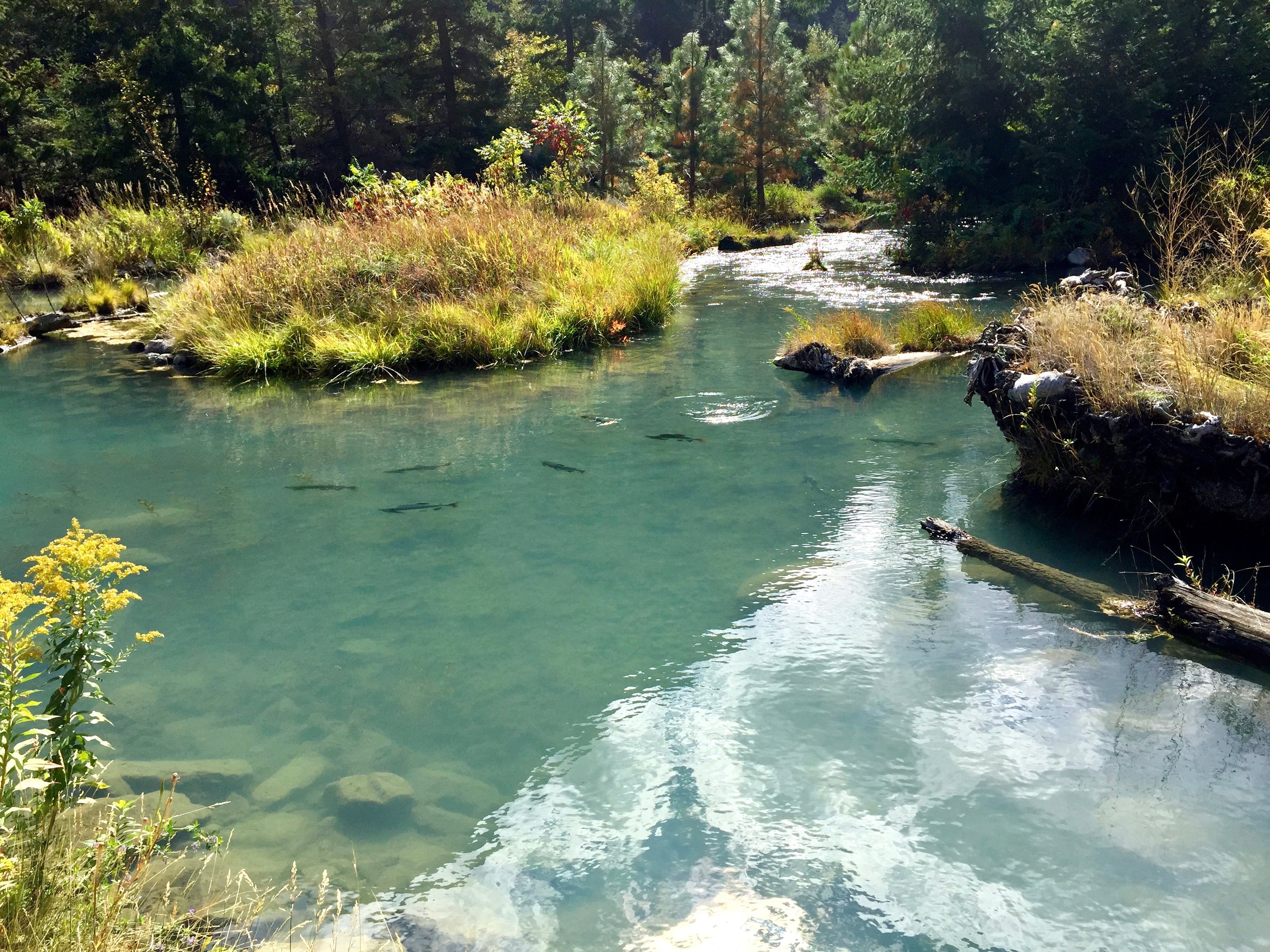 Spawner Walks — Splitrock Environmental