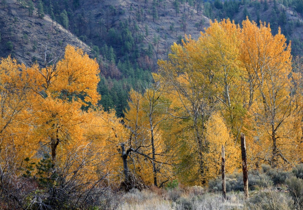 Products — Splitrock Environmental